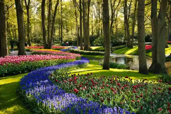Exploring the Netherlands: Culture and Scenery